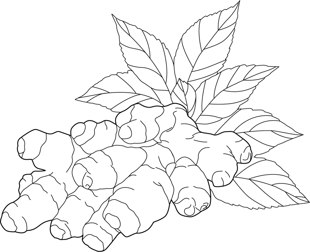 Ginger Coloring Page – Free Printable PDF for Kids Fun