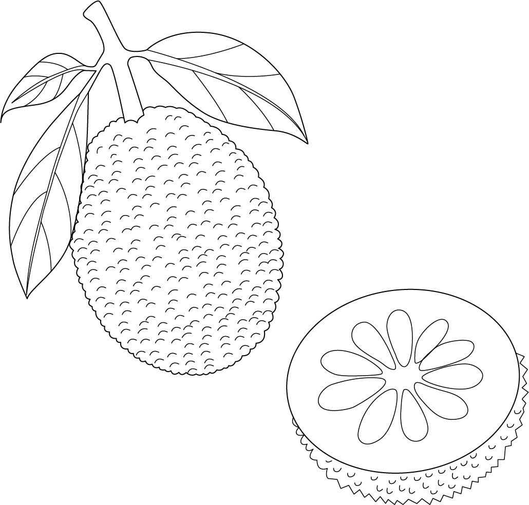 Jackfruit Coloring Page – Fun and Educational Printable for Kids