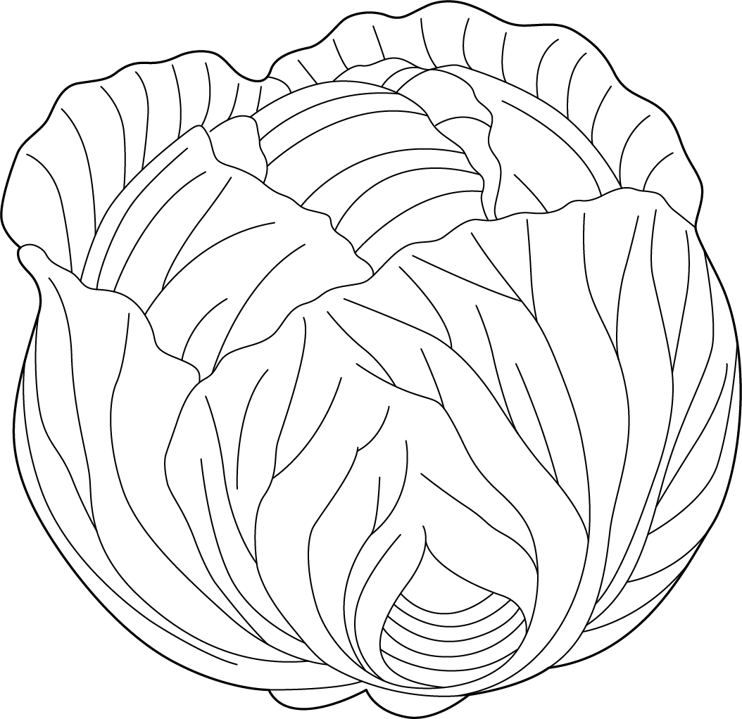 Printable Cabbage Coloring Page