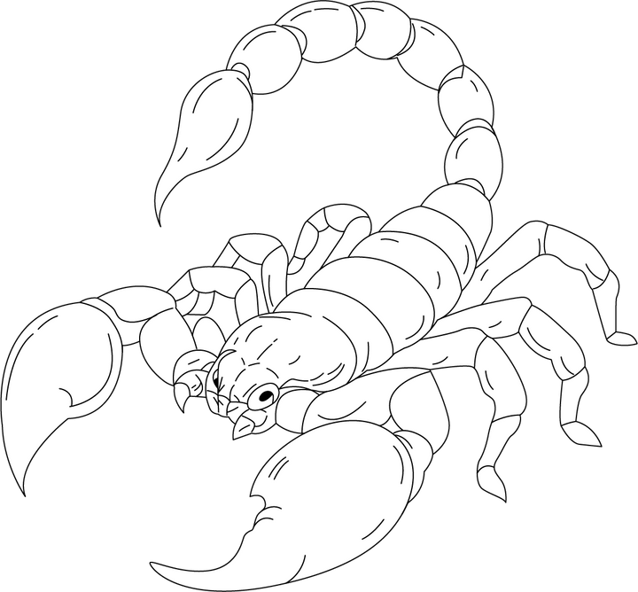 Scorpion Coloring Book - Free Printable PDF