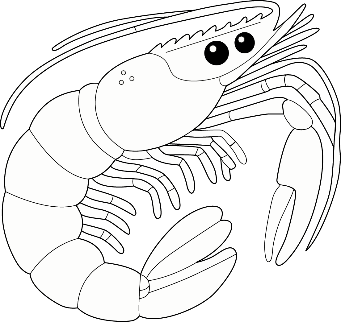 Free Printable Prawns Coloring Page