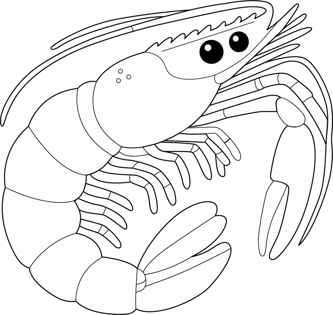 Free Printable Prawns Coloring Page