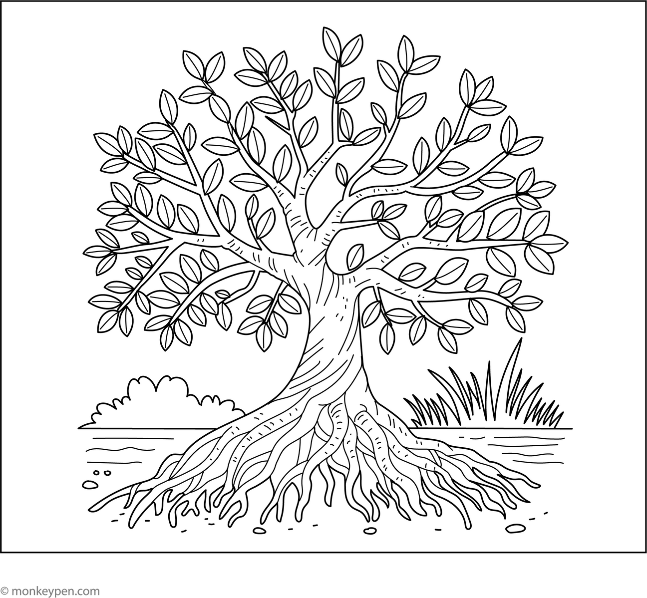 Mangrove Tree Coloring Page - Free Coloring Page Printable