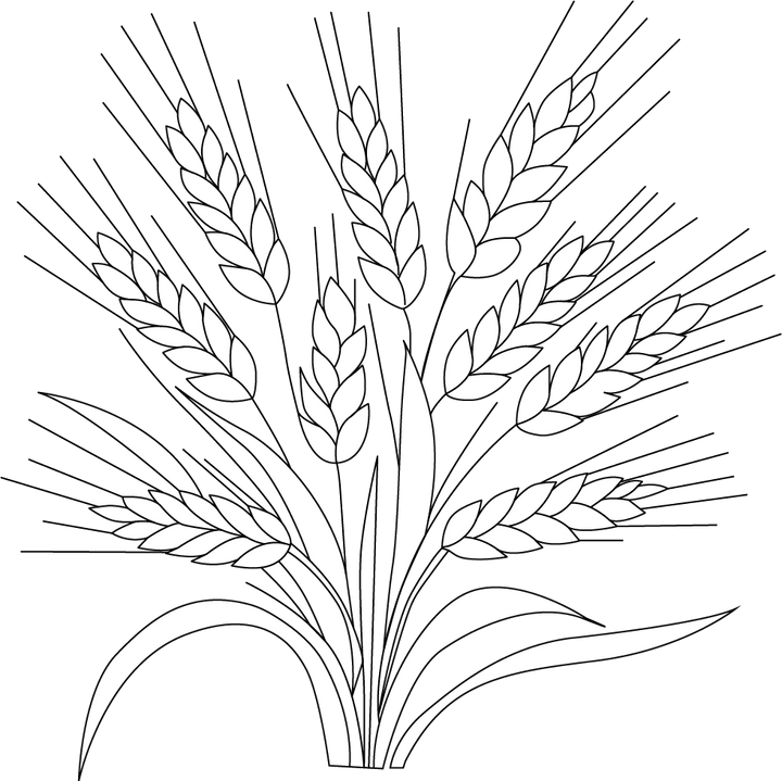 Free Printable Wheat Coloring Page for Kids