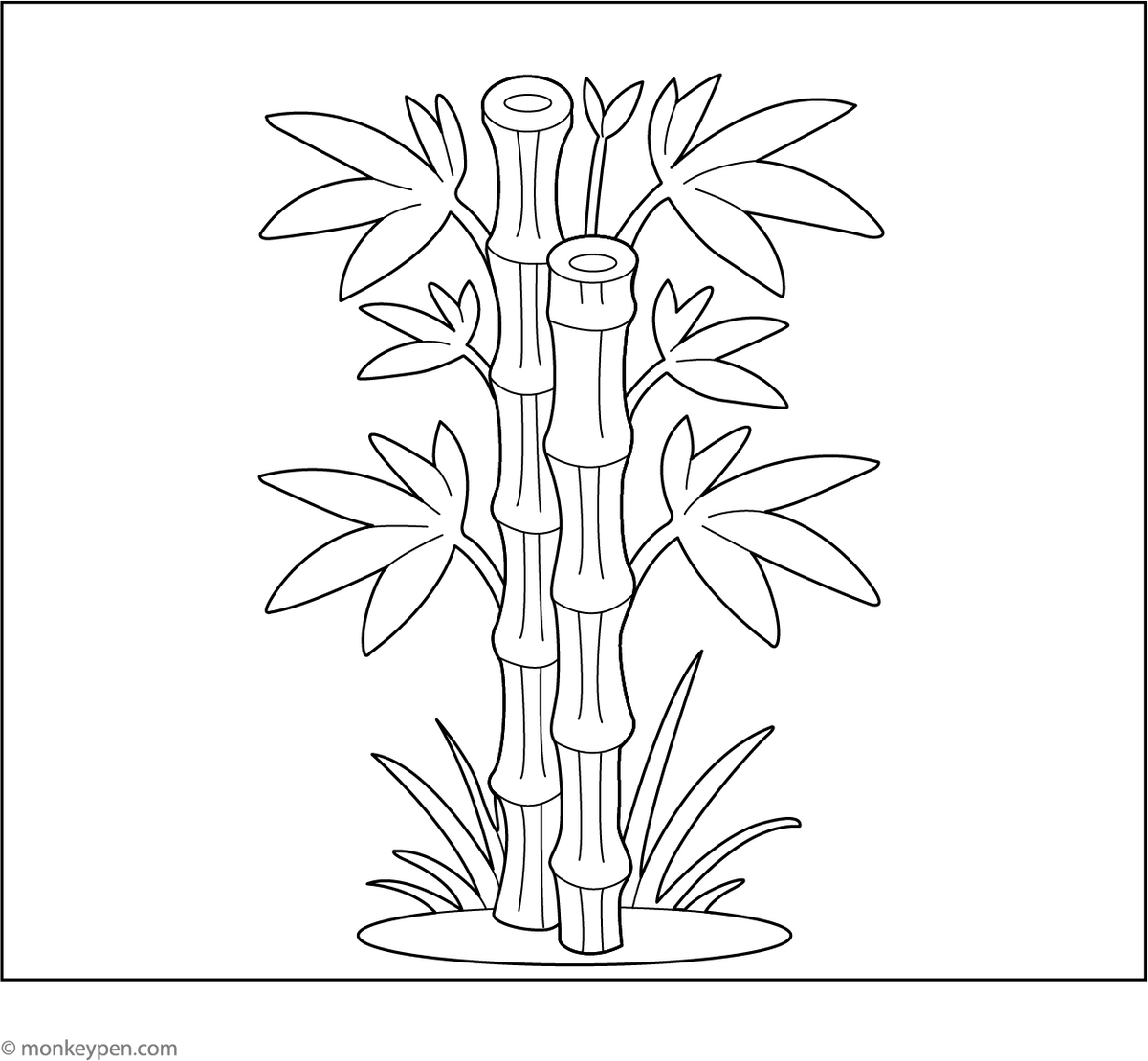 Bamboo Tree Coloring Page