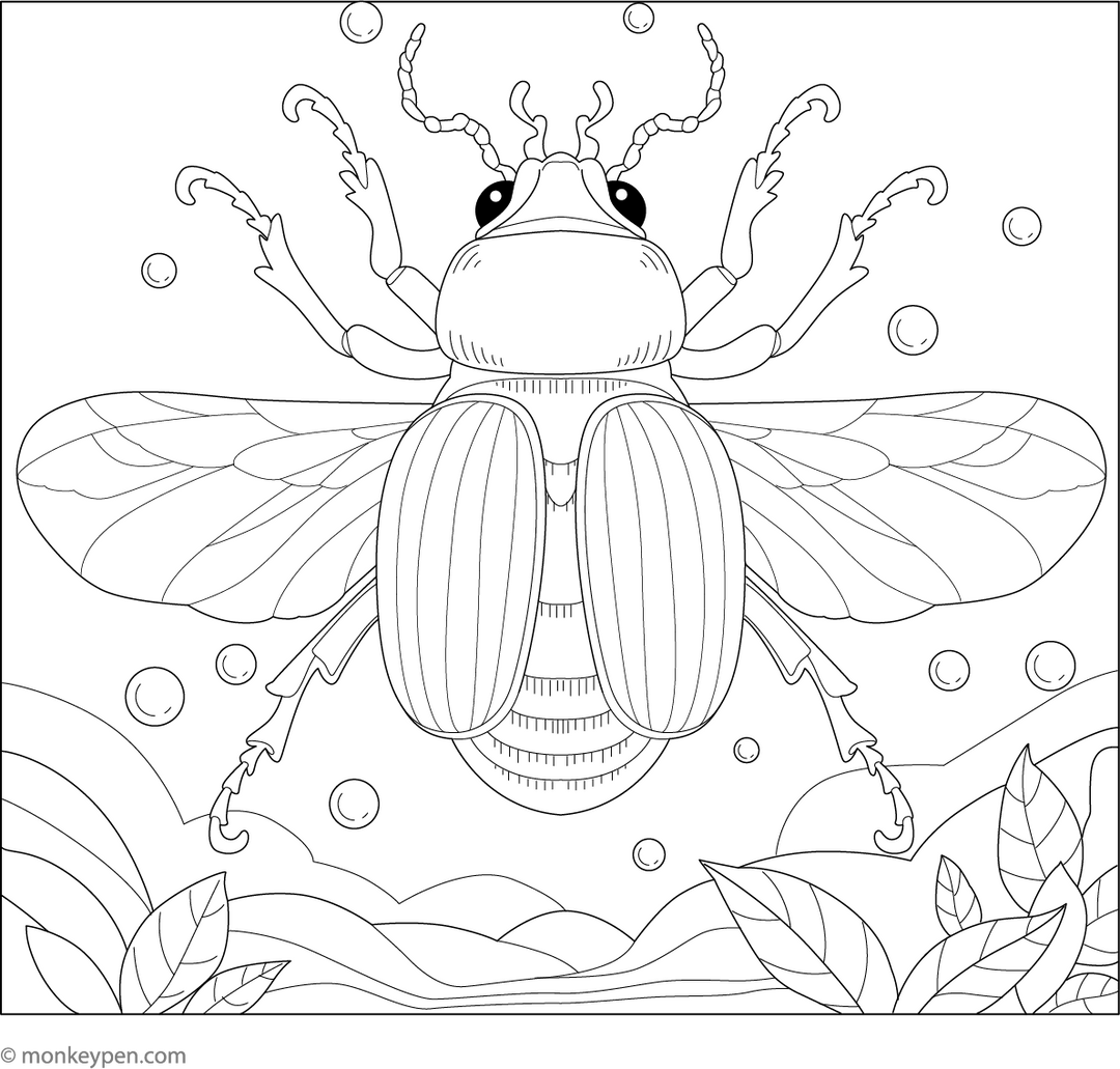 Free Beetle Coloring Book PDF – Fun Insect Printables for Kids