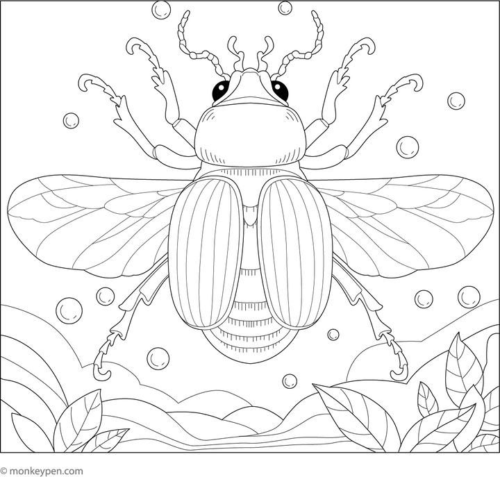 Free Beetle Coloring Book PDF – Fun Insect Printables for Kids