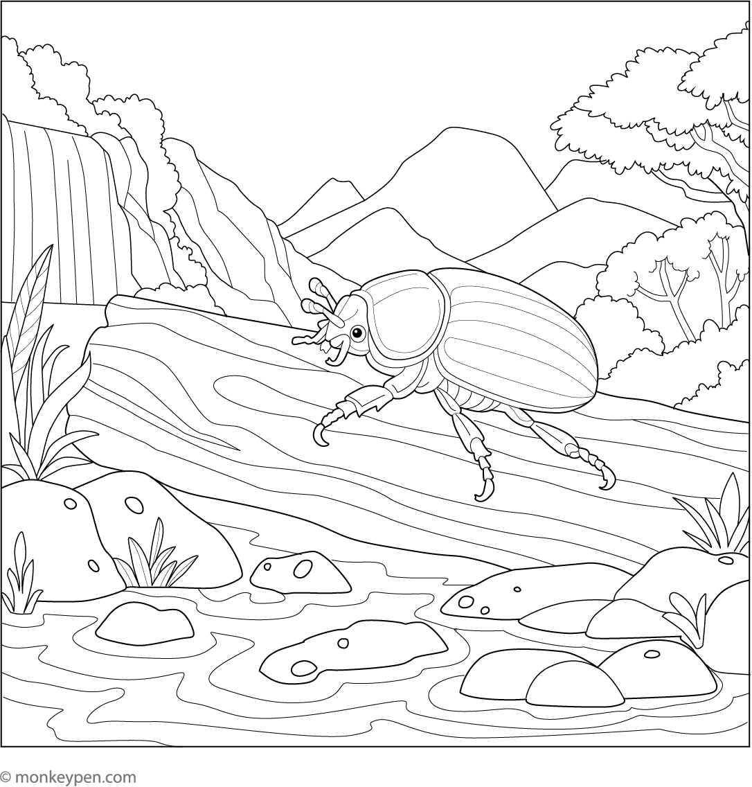 Beetle on the Log Coloring Page