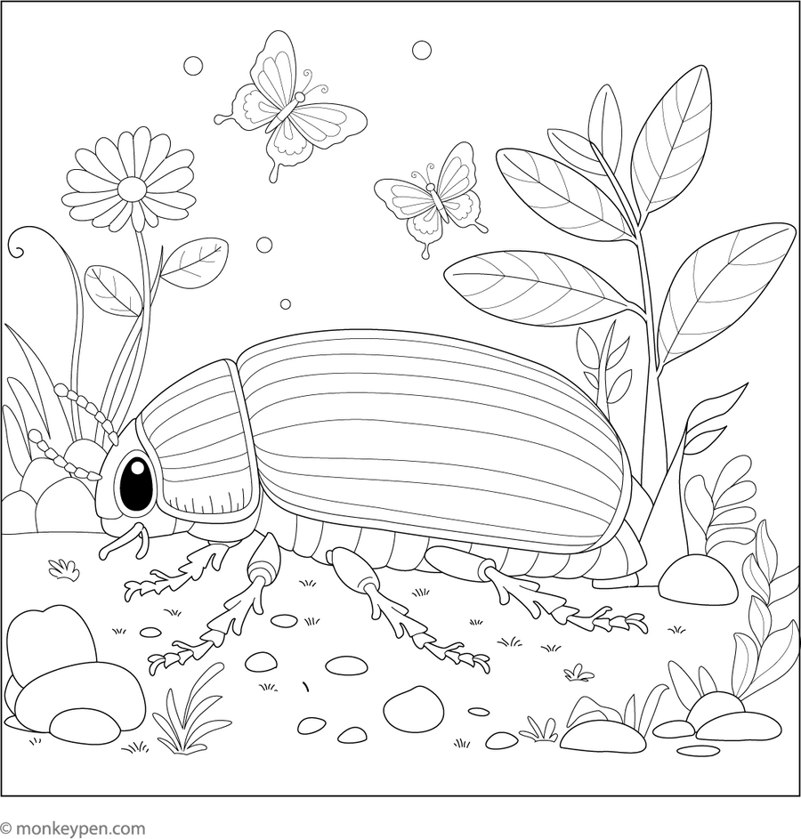 Free Beetle Coloring Book PDF – Fun Insect Printables for Kids
