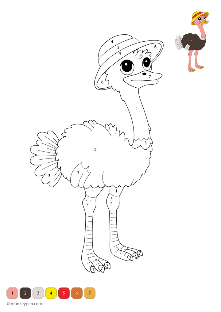 Ostrich Color by Number – Free PDF for Kids