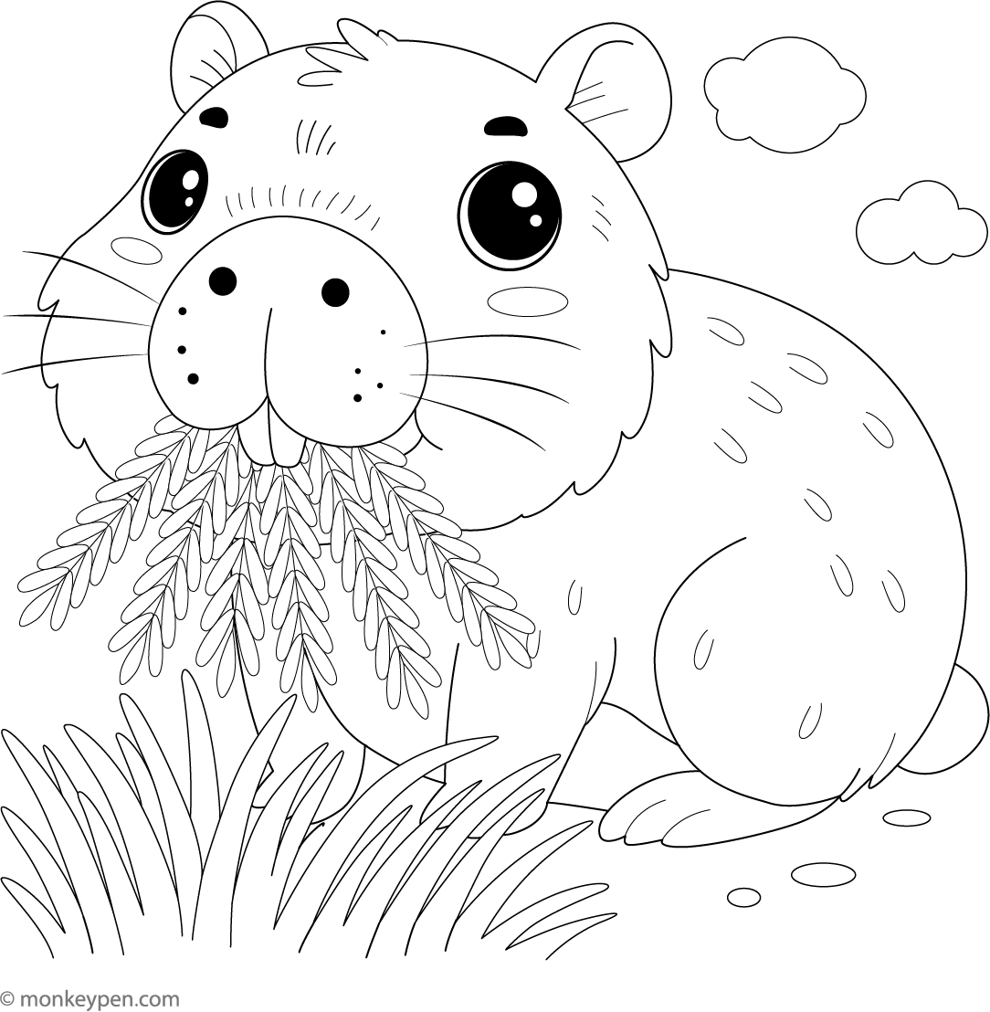 Capybara Eating Grass Coloring Page – Printable PDF for Kids