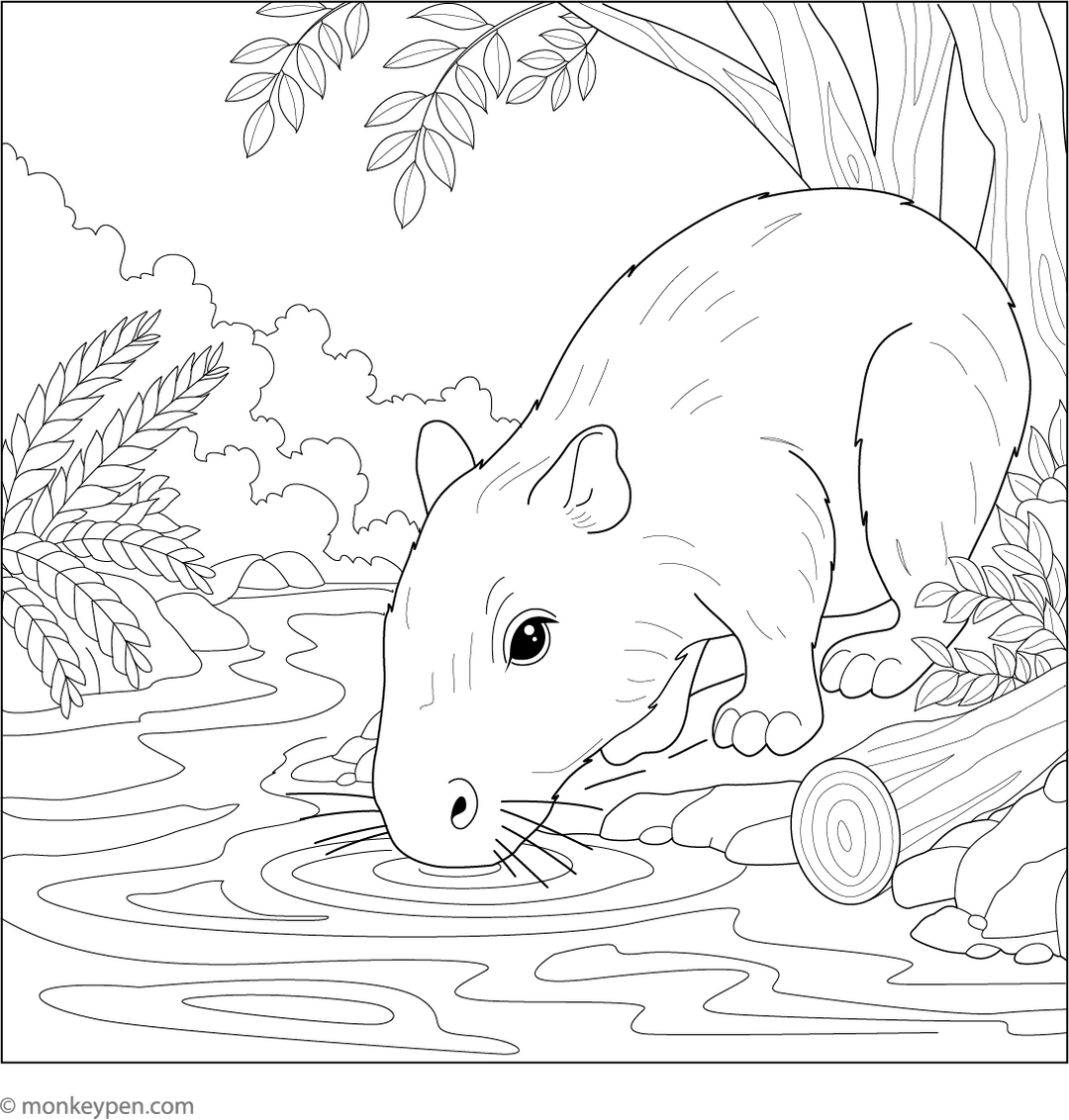 Capybara Coloring Book - Free Printable PDF