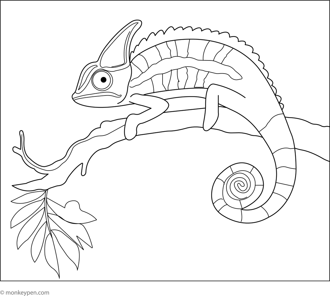 Free Chameleon Coloring Pages – Printable Reptile Fun
