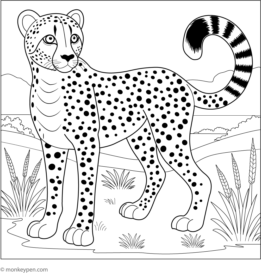 Free Cheetah with Long Tail Coloring Page – Printable PDF
