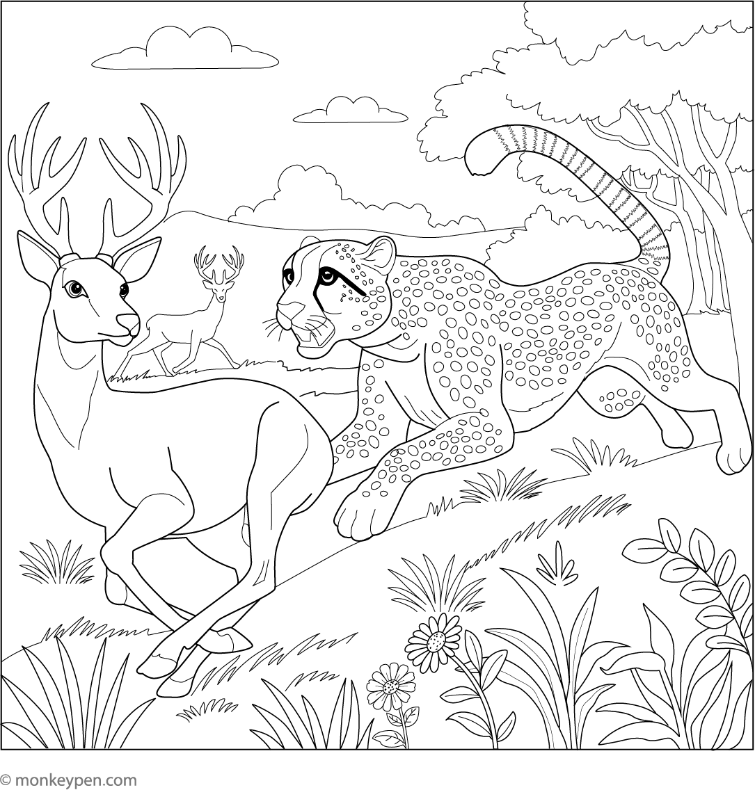 Cheetah Chasing Prey – Exciting Wildlife Action Coloring Page for Kids