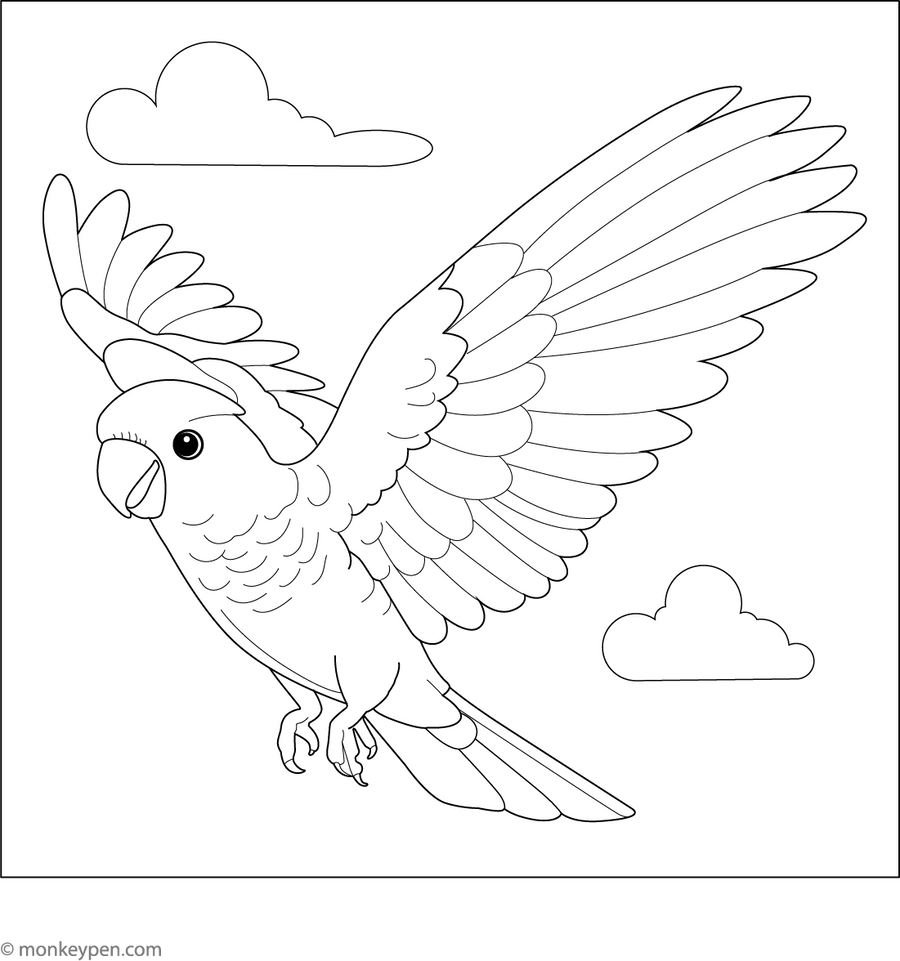 Free Cockatoos Coloring Pages – Printable for Kids