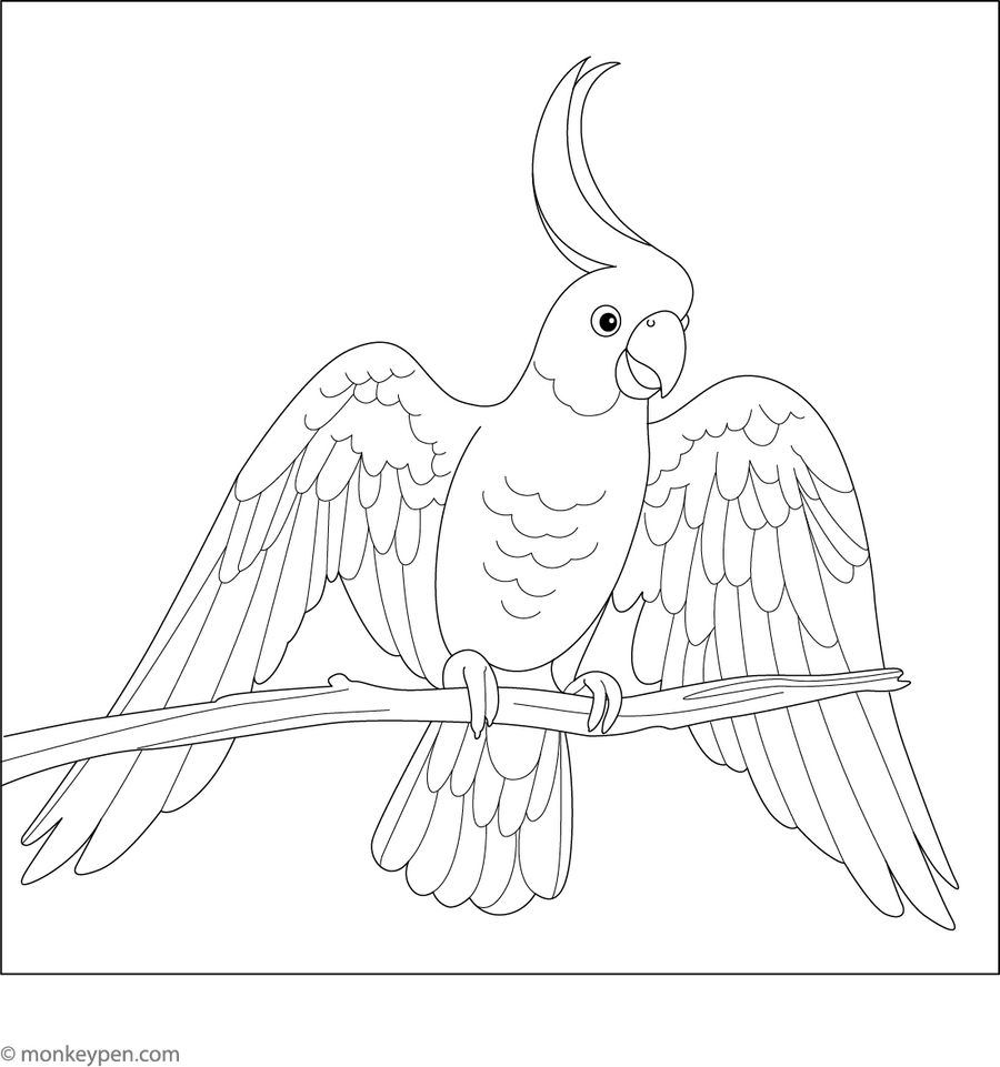 Free Cockatoos Coloring Pages – Printable for Kids