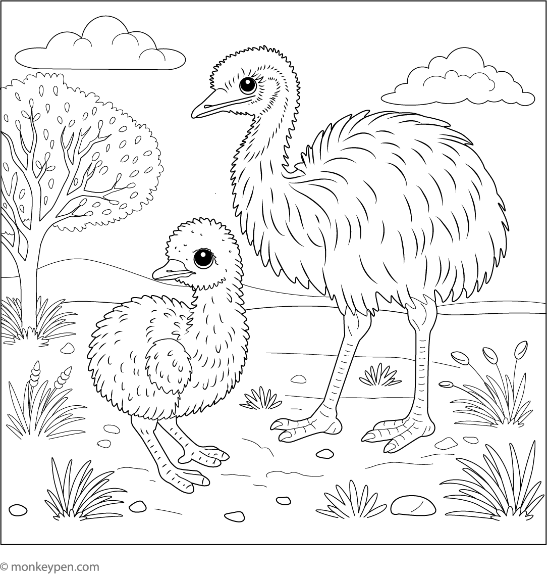 Free Printable Baby Emu and Parent Coloring Page