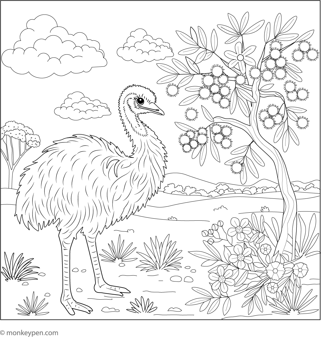 Emu and a Wattle Tree – Fun and Educational Coloring Pages