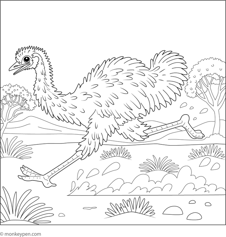Emu Coloring Book (Free Printable PDF)