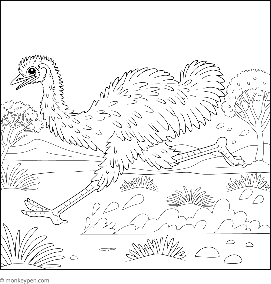 Emu Running Fast Coloring Page – Free Printable PDF for Kids