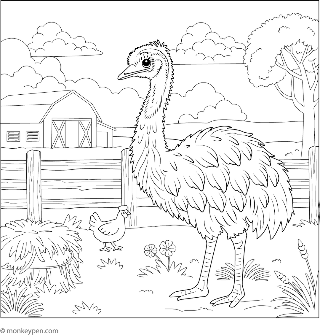 Emu Coloring Book (Free Printable PDF)