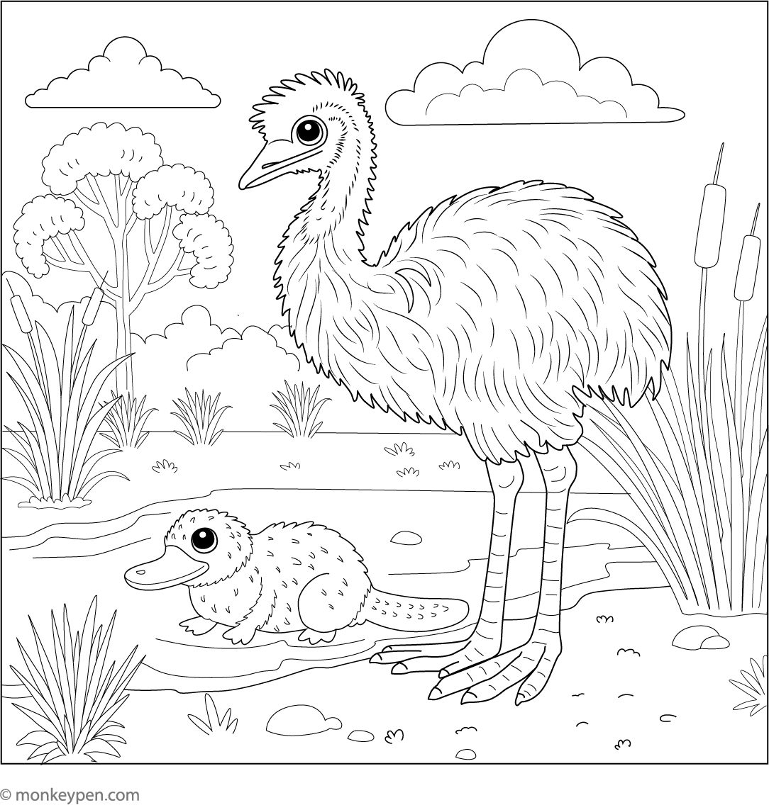 Emu Coloring Book (Free Printable PDF)
