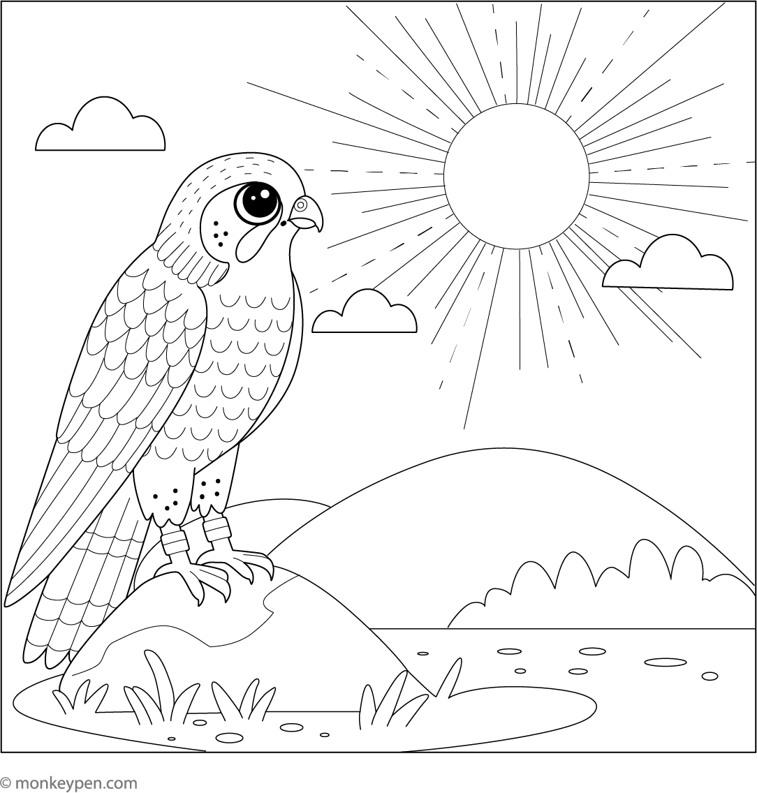 Falcon Coloring Book | Instant Printable PDF Download for Kids