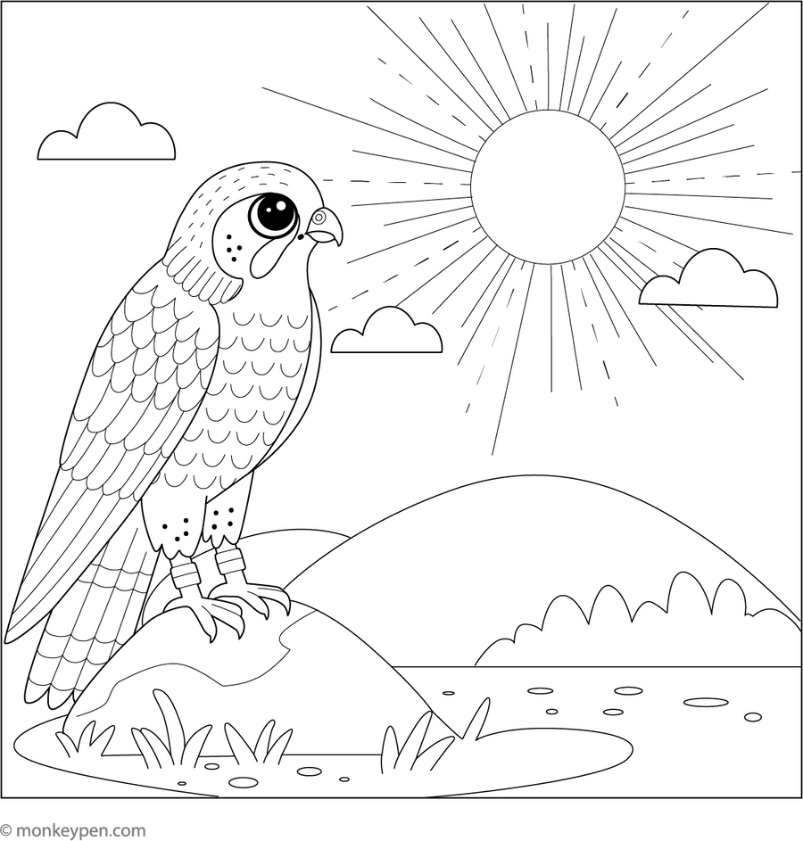 Falcon Coloring Book | Instant Printable PDF Download for Kids