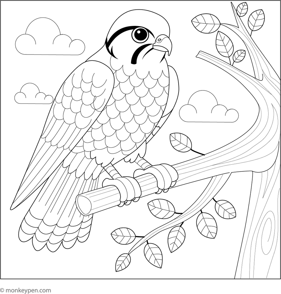 Free Falcon Coloring Pages – Easy Printables for Kids”