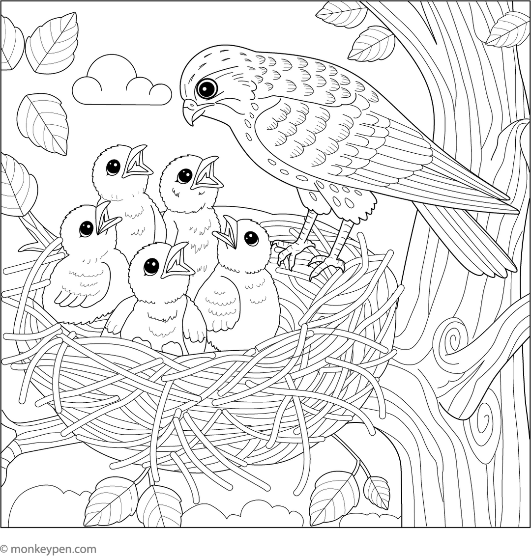 Falcon Nest with Chicks - Free Coloring Page