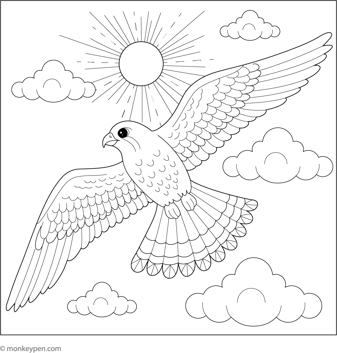 Falcon Coloring Book | Instant Printable PDF Download for Kids