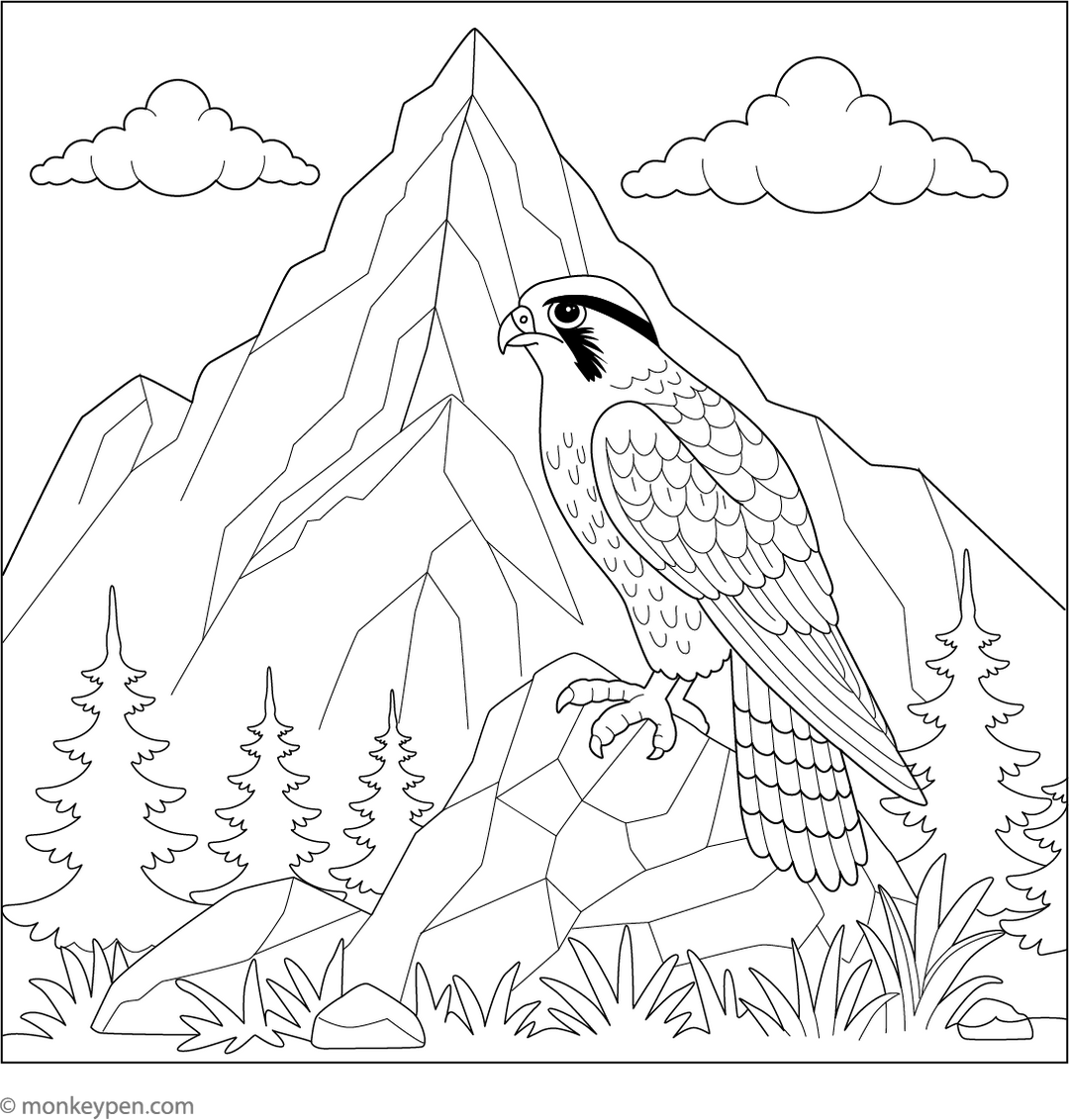 Falcon Coloring Book | Instant Printable PDF Download for Kids