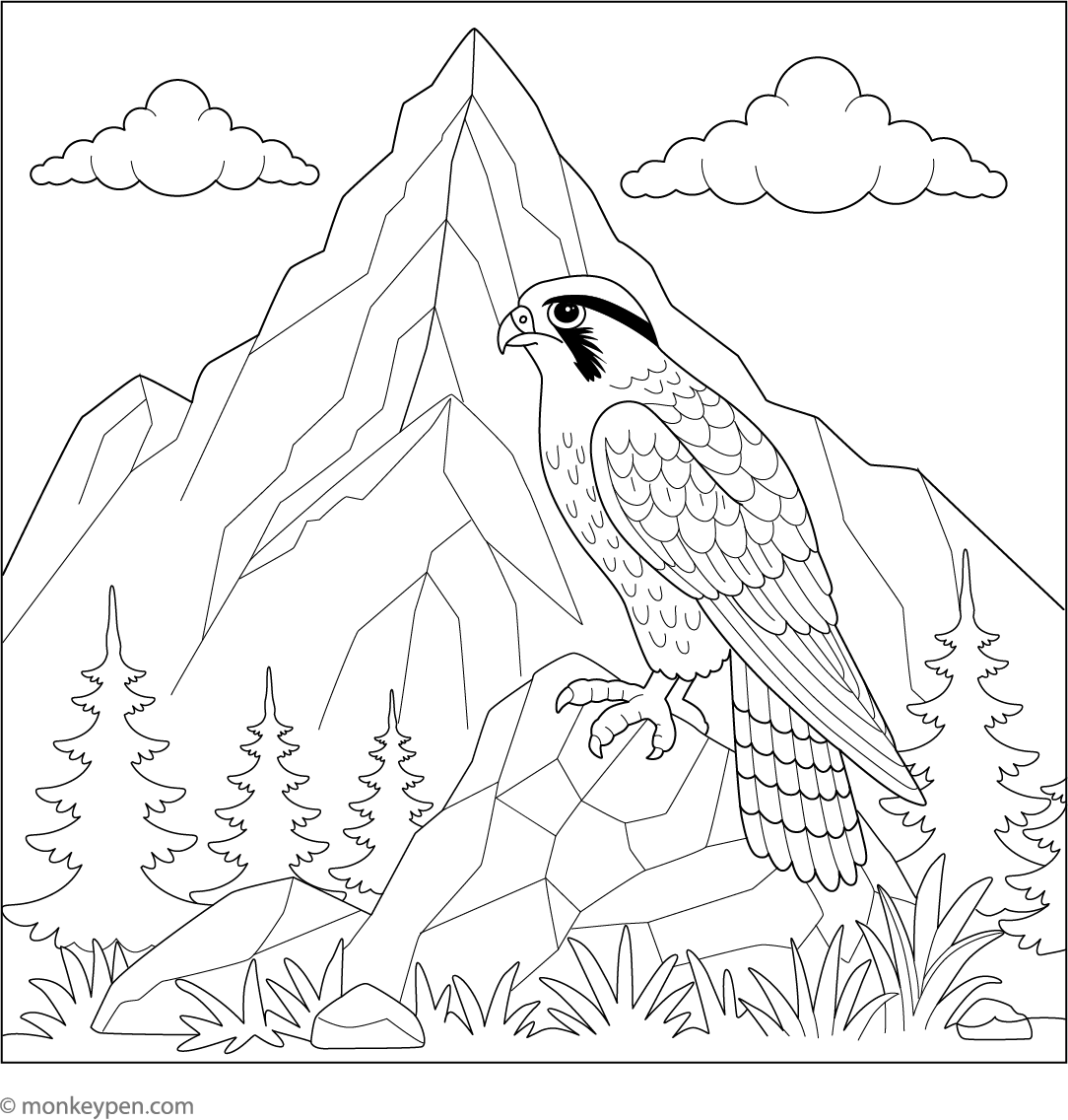Falcon and a Mountain Peak