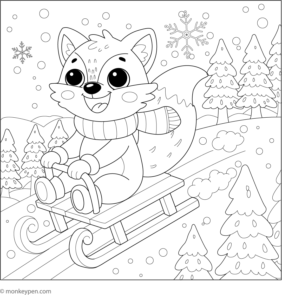 Raccoon Coloring Book – Free Printable Download for Kids