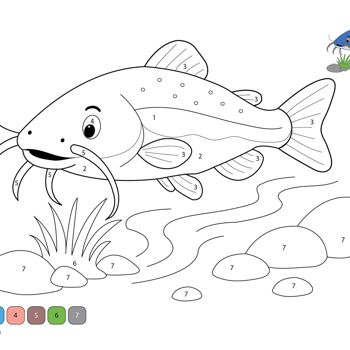 Catfish | Color by Number Pages for Children