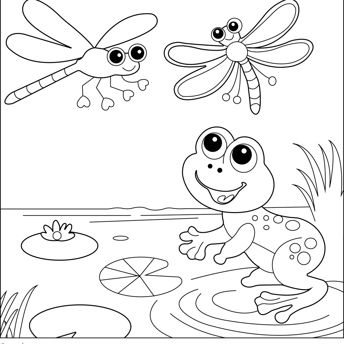 Frog and a Dragonfly