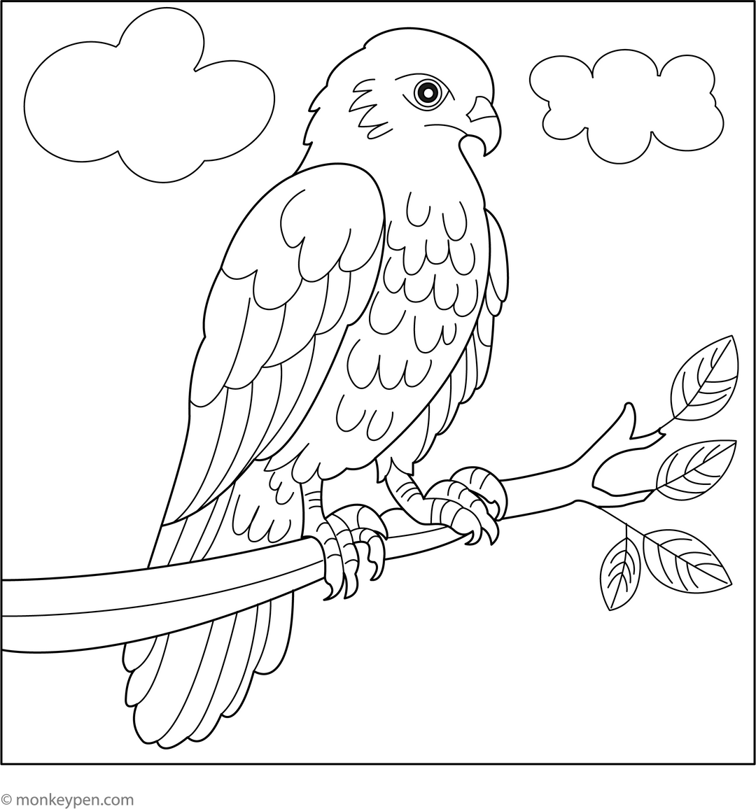 Free Hawk Coloring Pages – Printable Bird for Kids
