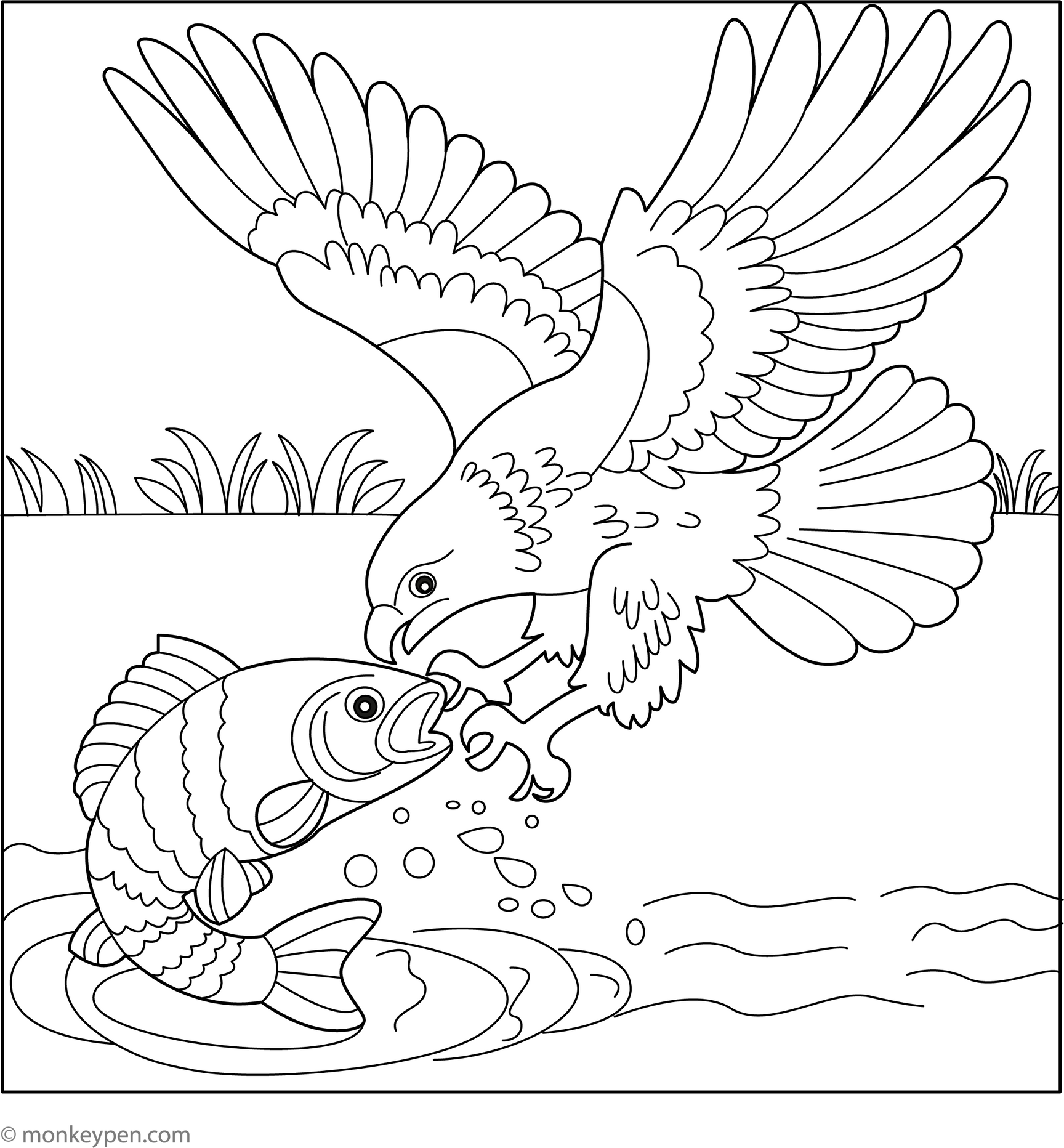 Hawk Coloring Book | Free Printable PDF