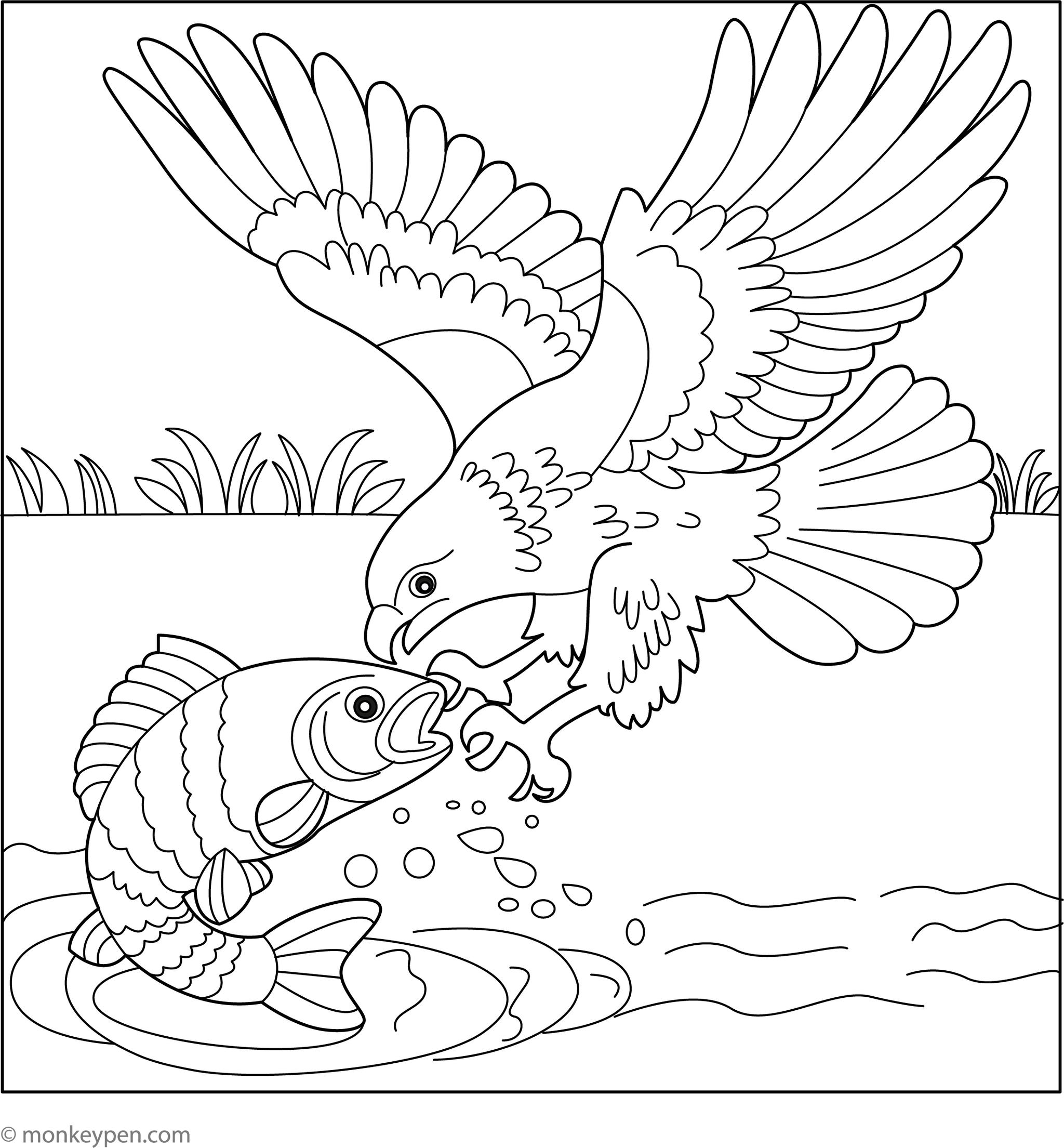 Hawk Coloring Book in PDF Format