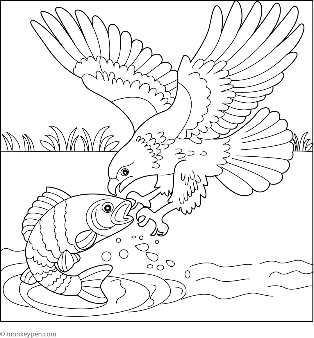 Free Printable Hawk Catching Prey Coloring Page