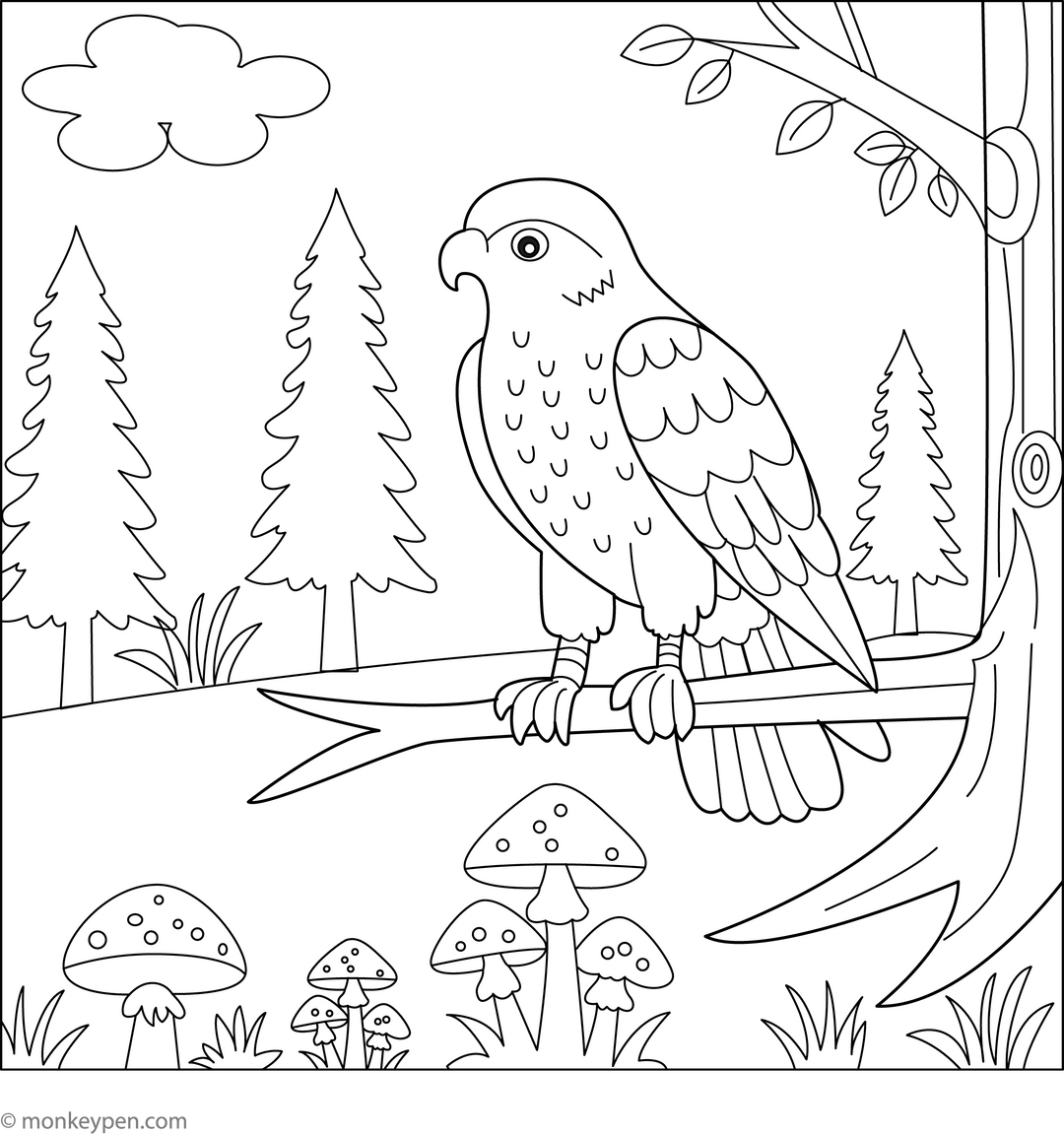 Hawk Coloring Book in PDF Format