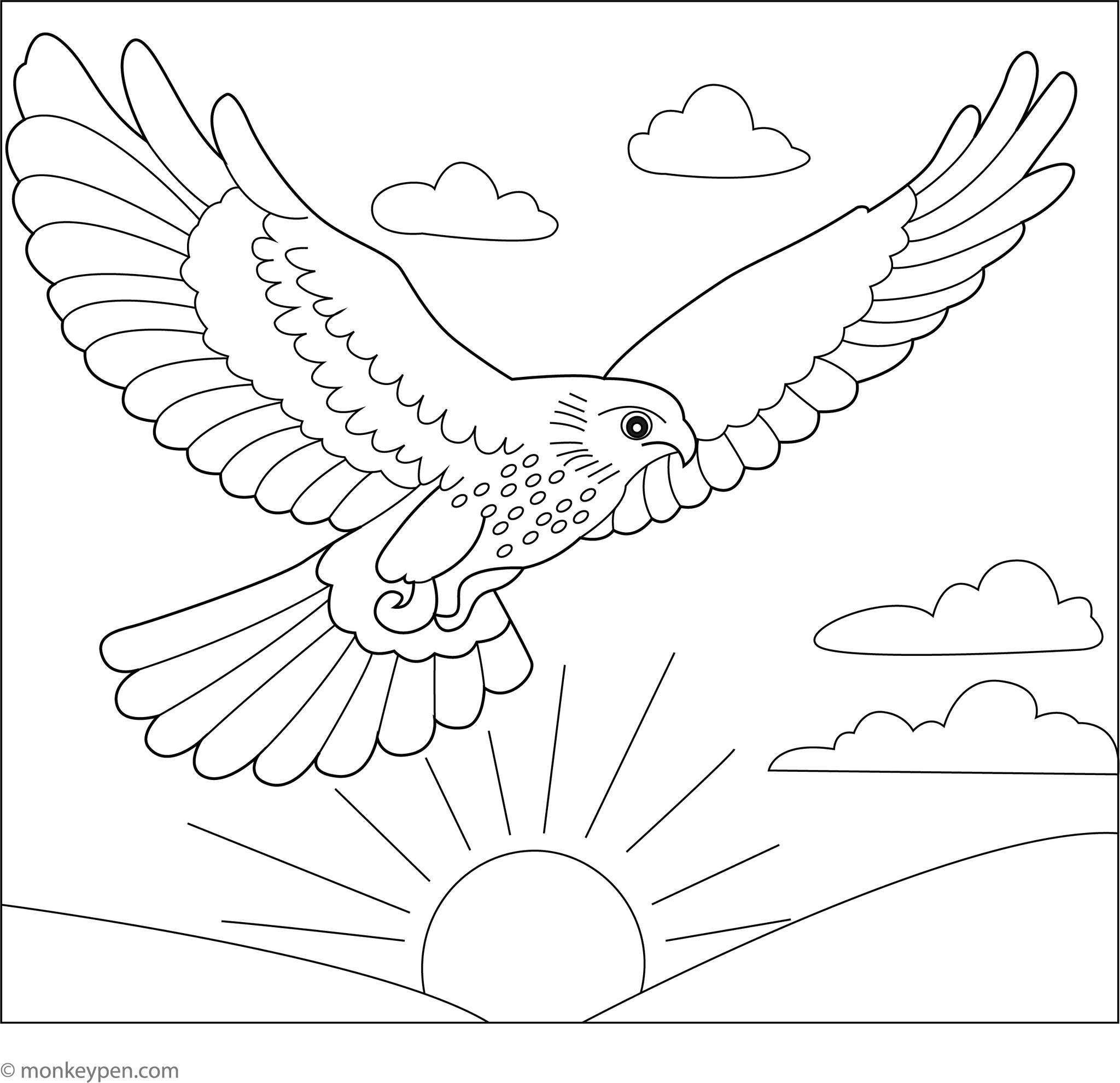 Hawk Coloring Book | Free Printable PDF