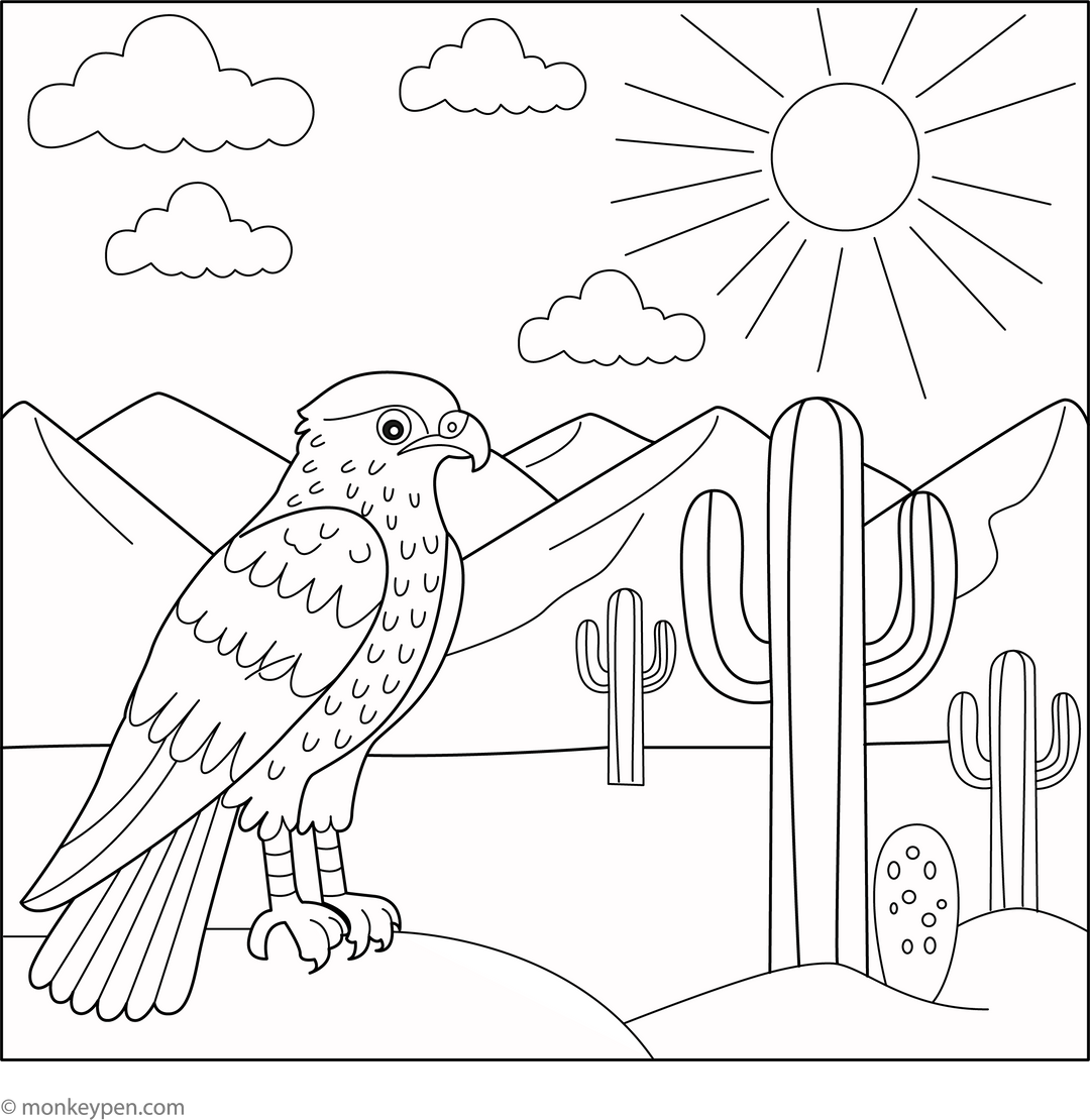 Free Hawk Coloring Pages – Printable Bird for Kids