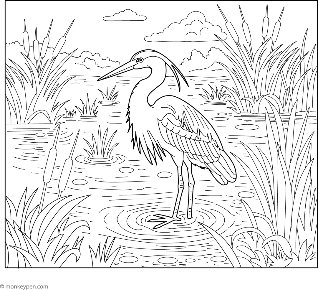 Heron Coloring Book – Free Printable PDF for Kids
