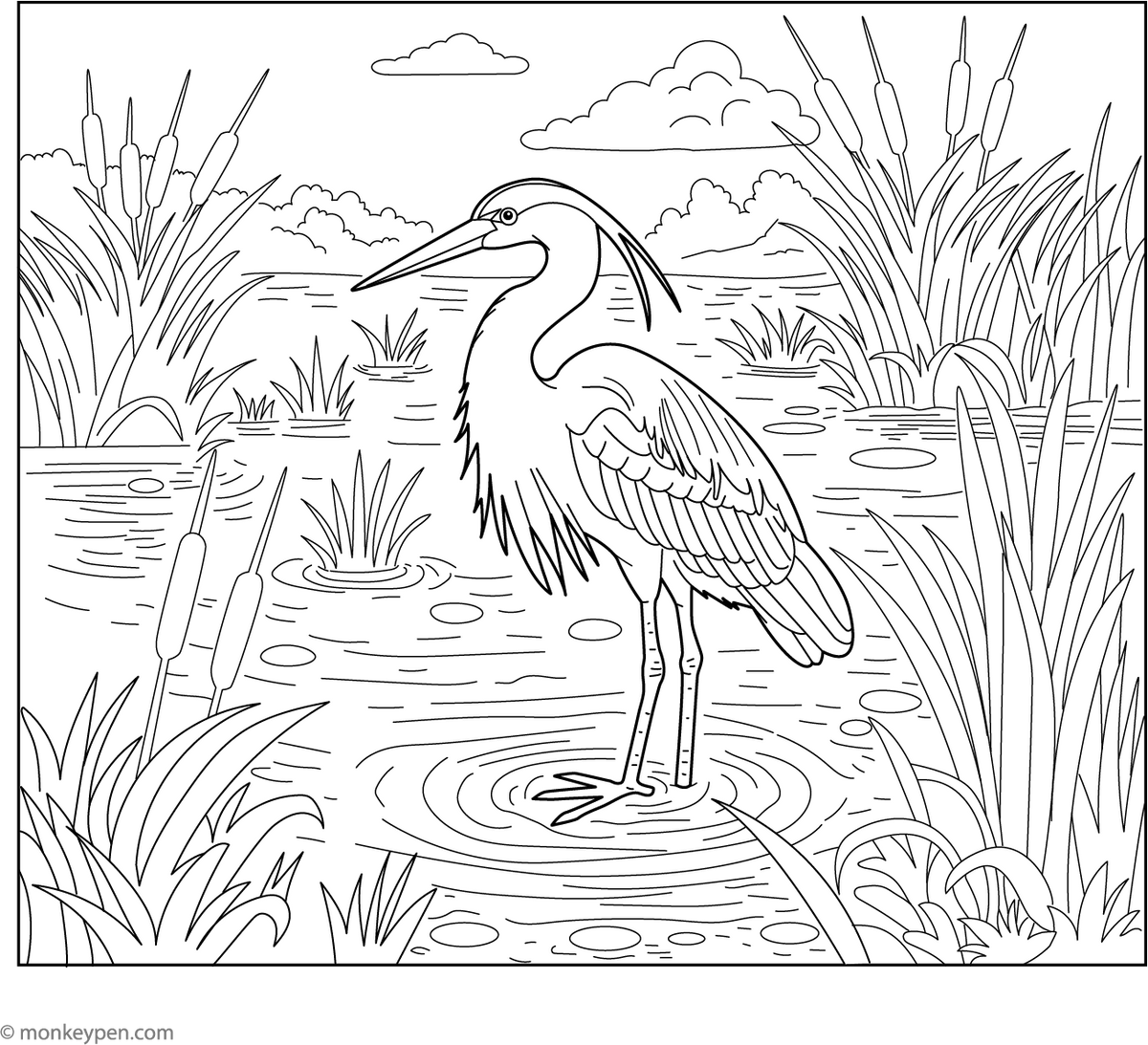 Heron in a Marsh Coloring Page – Free Printable