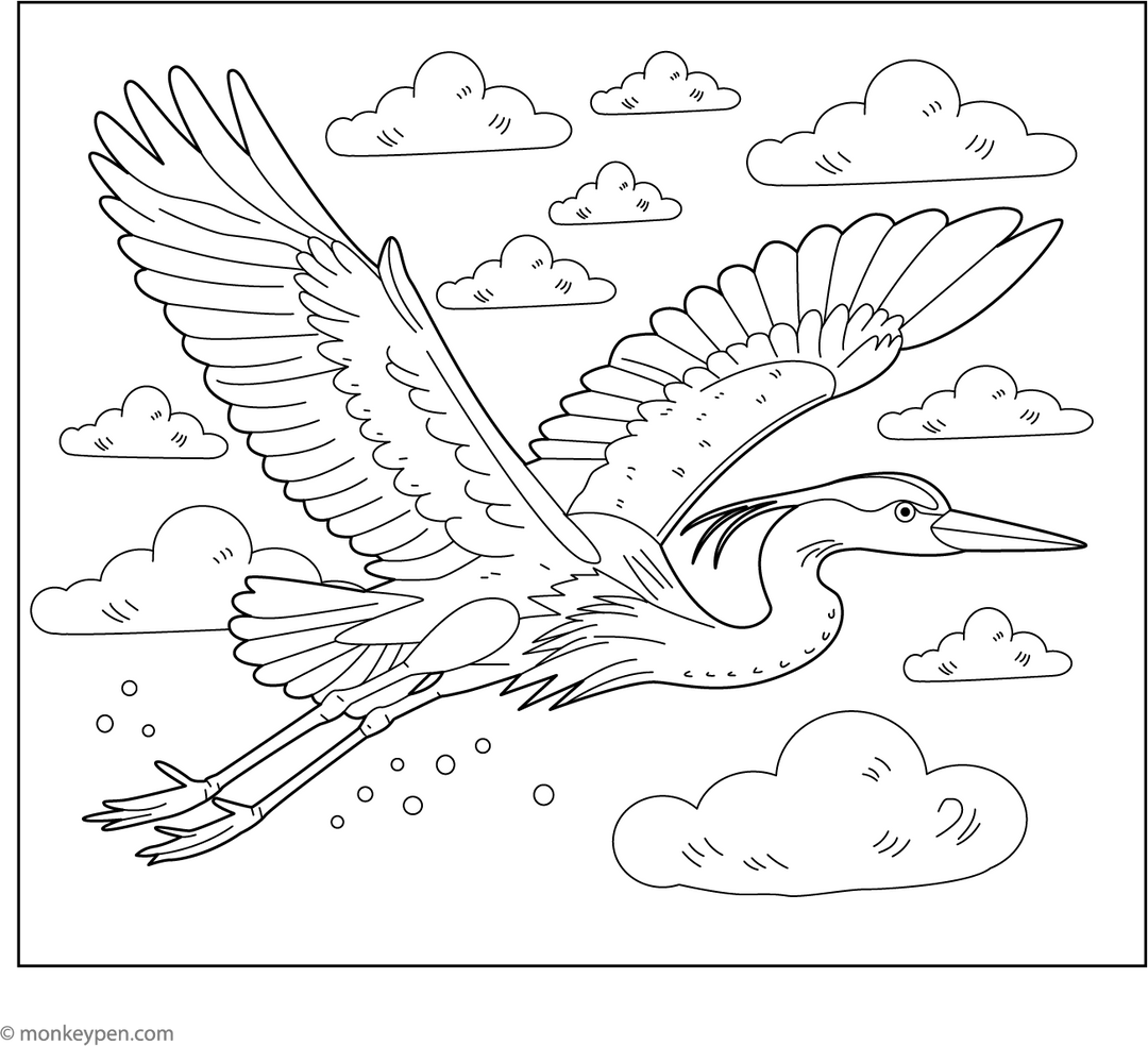 Heron Coloring Book – Free Printable PDF for Kids