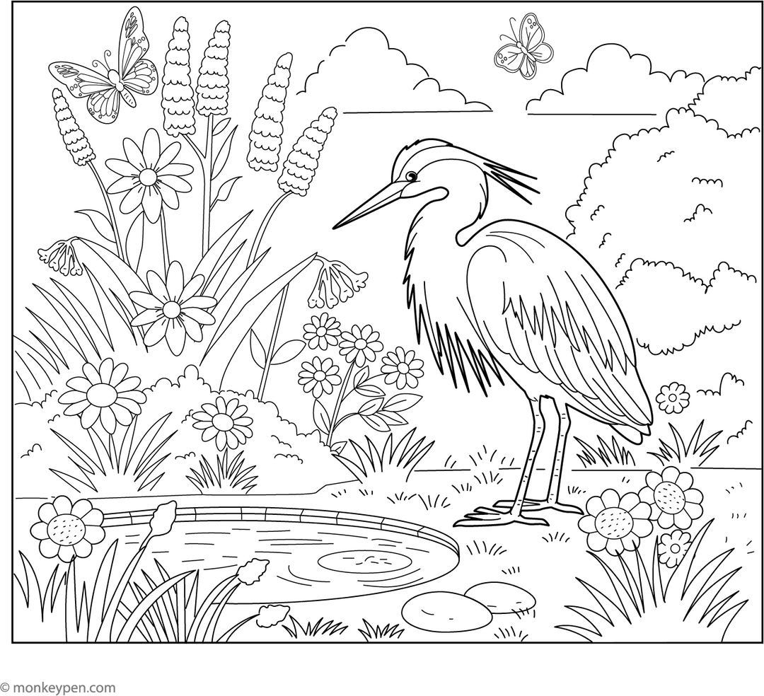 Heron Coloring Book – Free Printable PDF for Kids