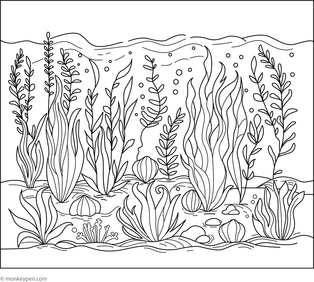 Printable Sea Plants and Algae Coloring Sheet – Free PDF