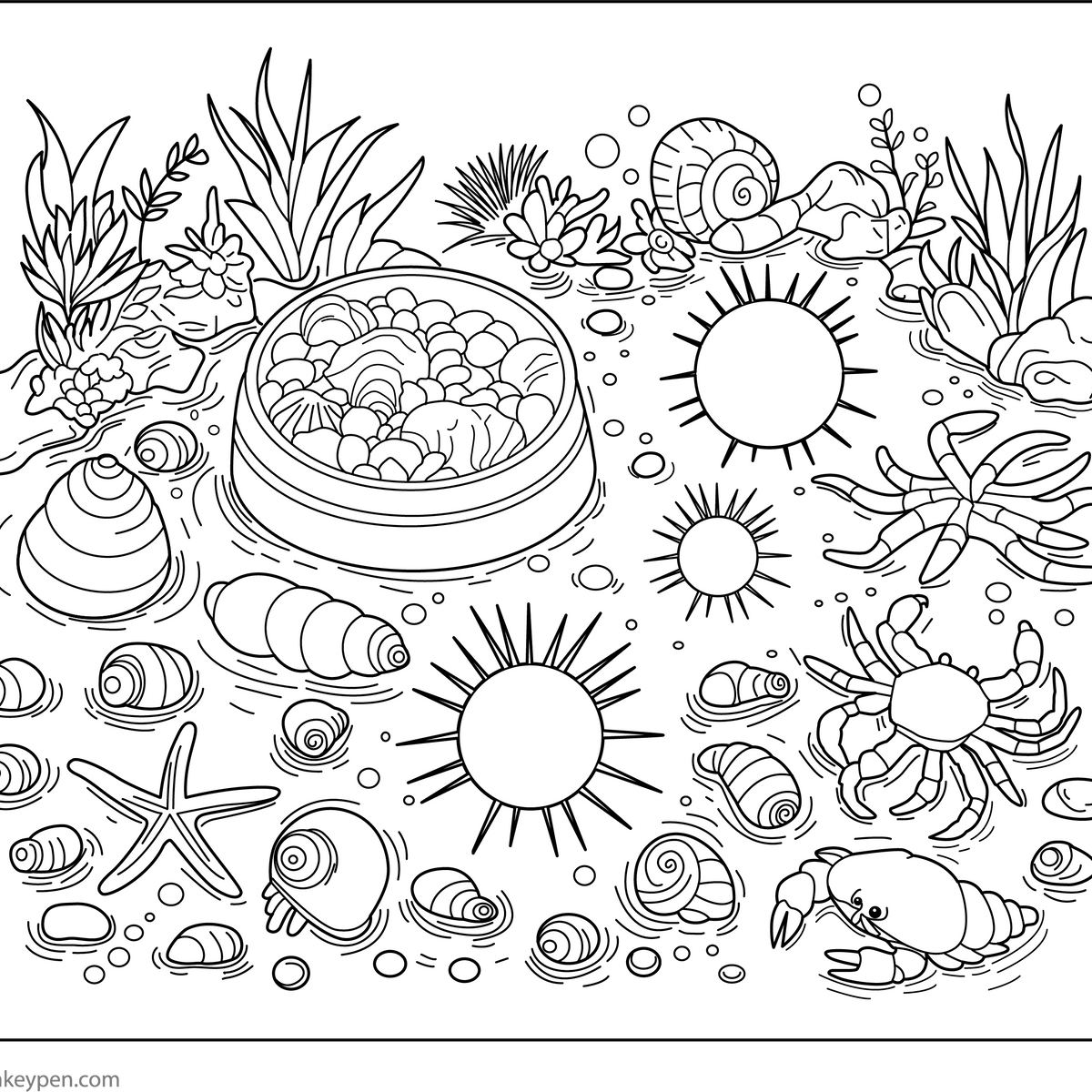 Tide Pools Coloring Page – Free Printable PDF for Kids Fun